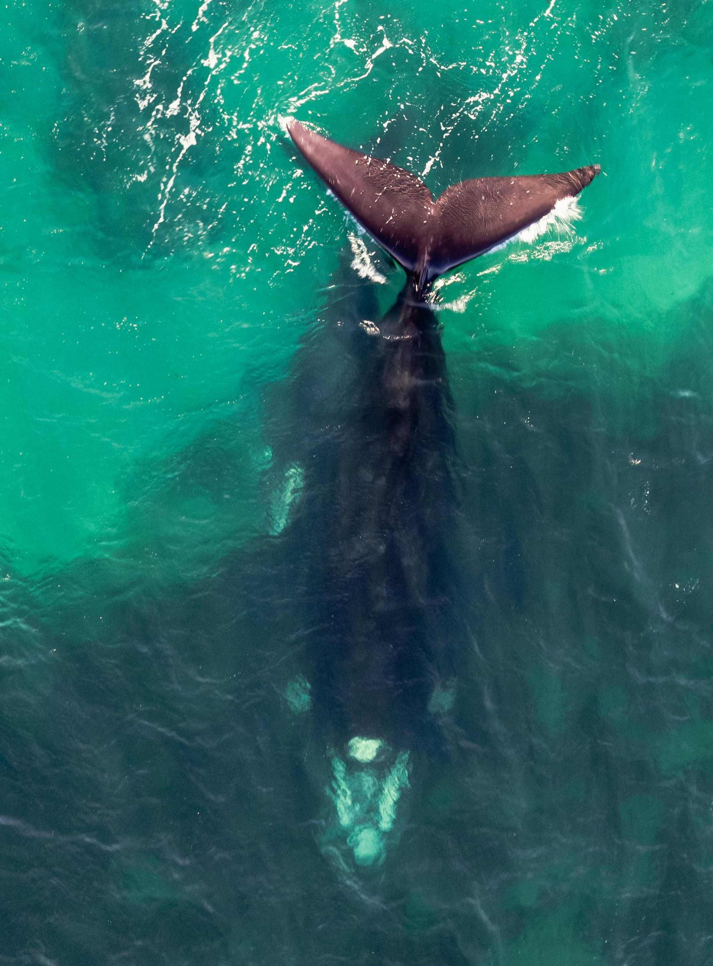 6 of the Largest Marine Protected Areas in the World