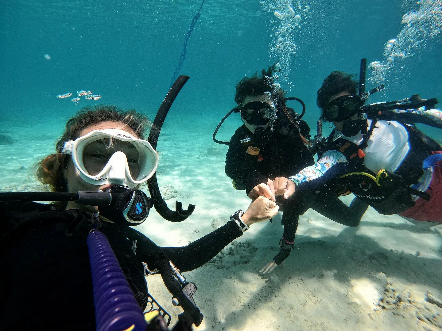 Mastering the Scuba Diving Learning Curve: From Beginner to Expert