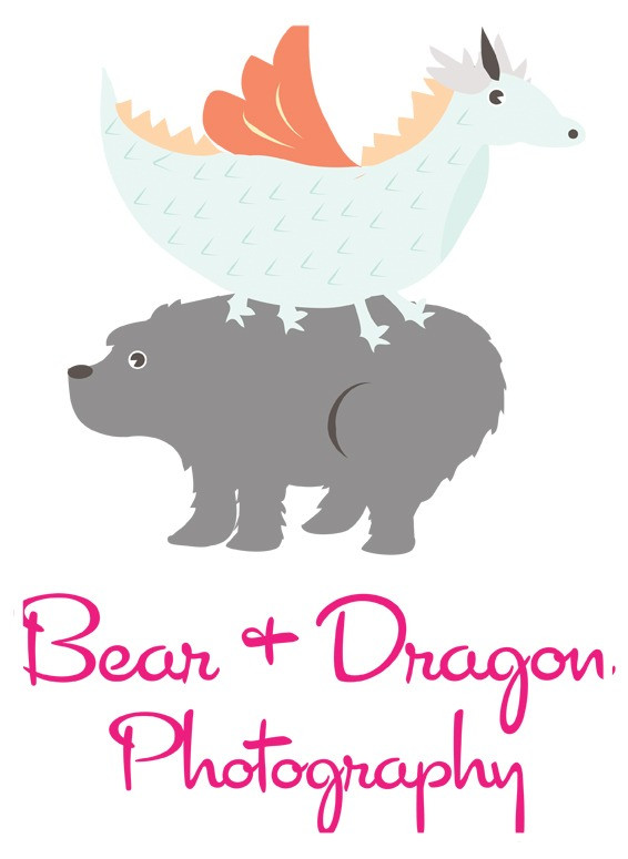 why bear & dragons | Bear & Dragon Photography | Brussels