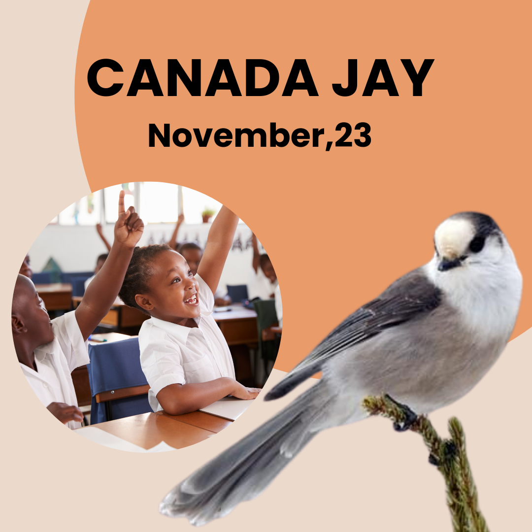 Canada Jay Mathematical Competition (CJMC) 2024 | TH.CA.Math