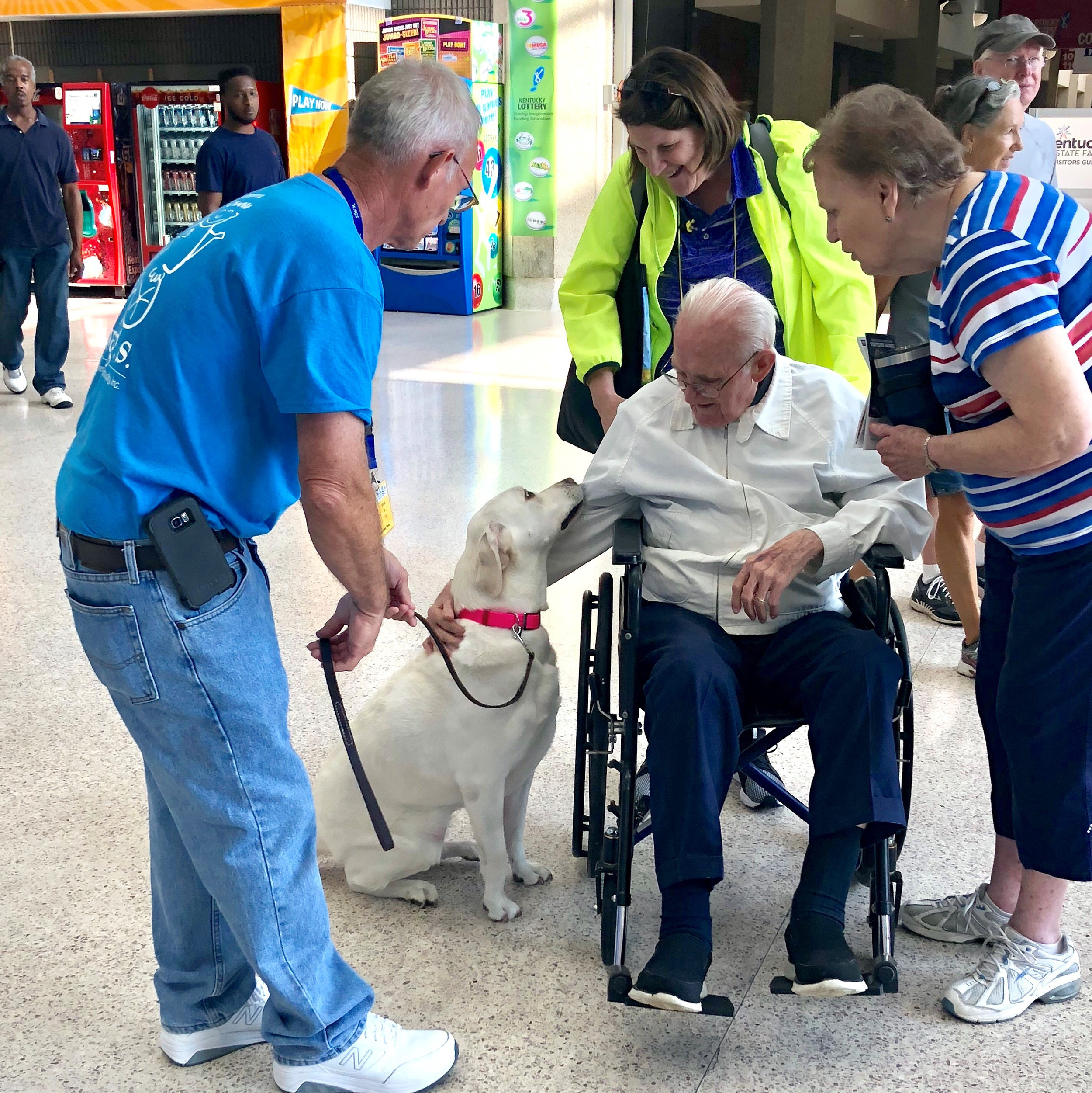 Service & Therapy dogs | Mysite