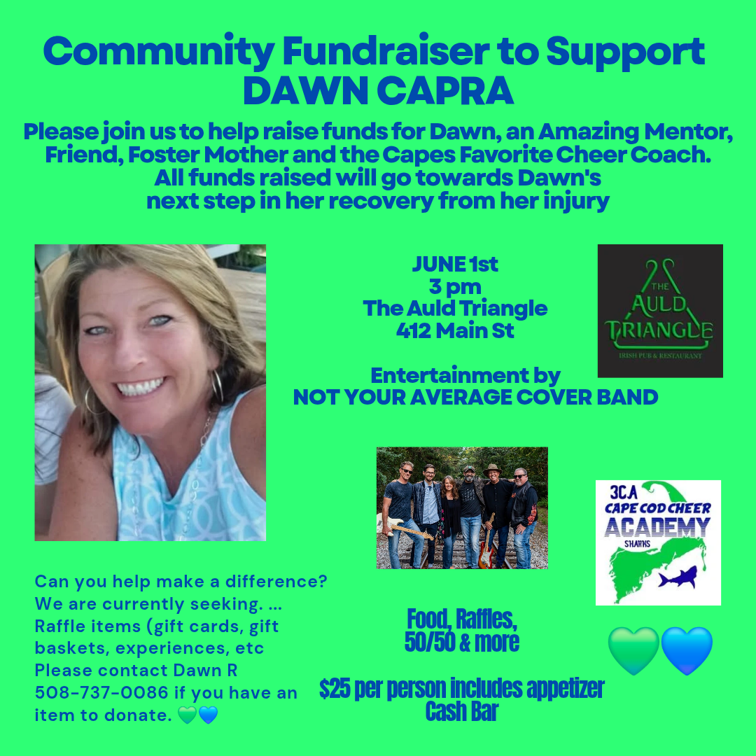 Community Fundraiser to Support Dawn | The Auld Triangle