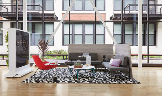 Avi | Reception | Breakout | Soft