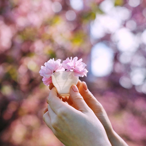 Eggshell ⚫︎ Fairy Flower Mini Tea Cup | hām-bîn