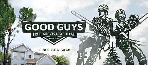 Good Guys Tree Service Of Utah | Cedar Hills, UT, USA