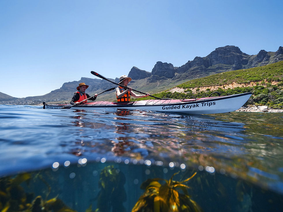 Home | Cape Kayak Adventure