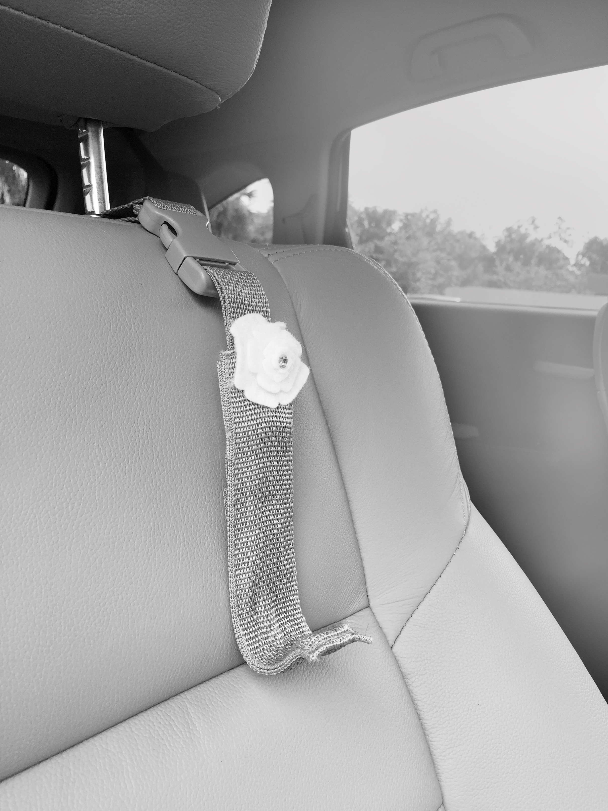 Packin' Neat | Car Hook