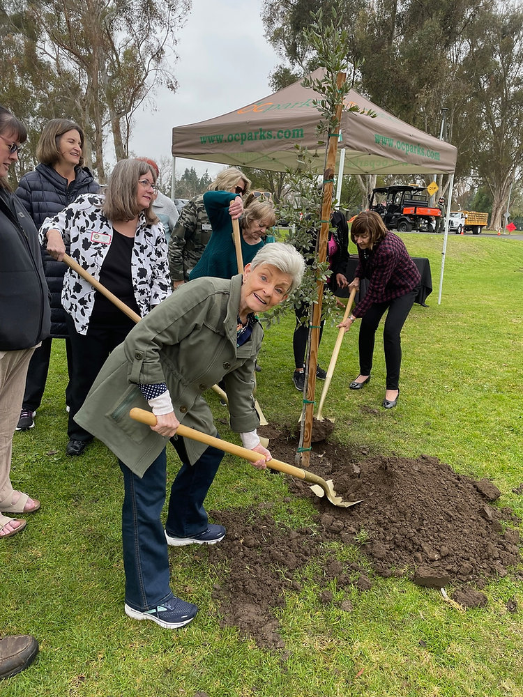 Dig! Planting trees at Craig Park