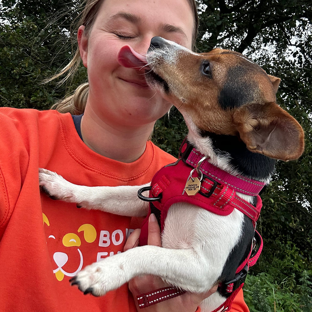 Alice’s Transformation: From Timid Pup to Confident Companion!