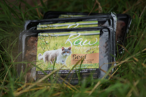 Beef Box of 20 - Premium Raw Cat Food | Raw Pet Foods