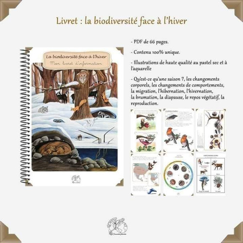 Les animaux en hiver, un PDF illustré pour comprendre la nature en ...