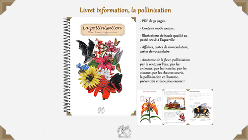 Livret information, la pollinisation | Chouette planete