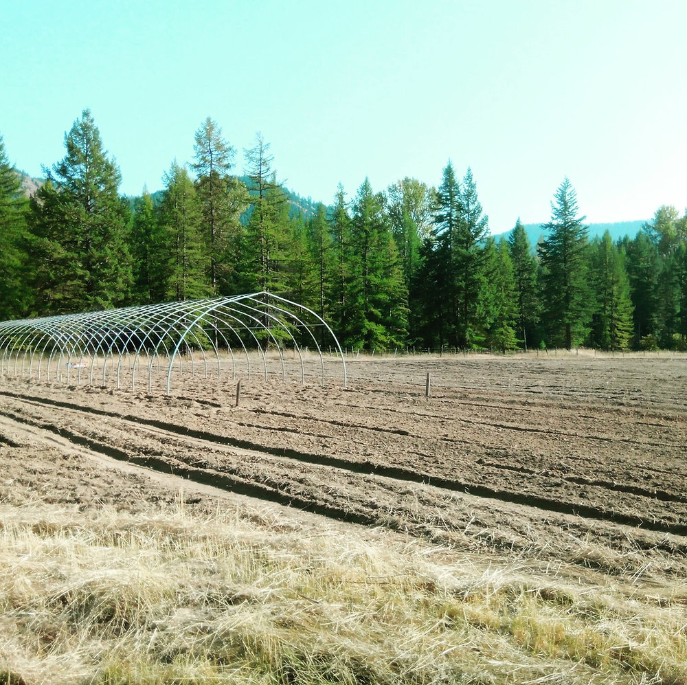 The Farm-stead Project