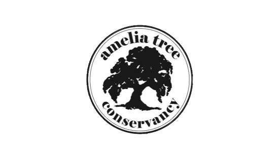 Amelia Tree Conservancy Guide to Planting Trees