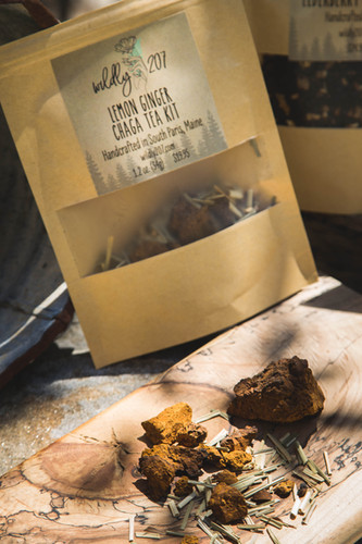Lemon Ginger Chaga Tea Kit | Wildly 207, LLC