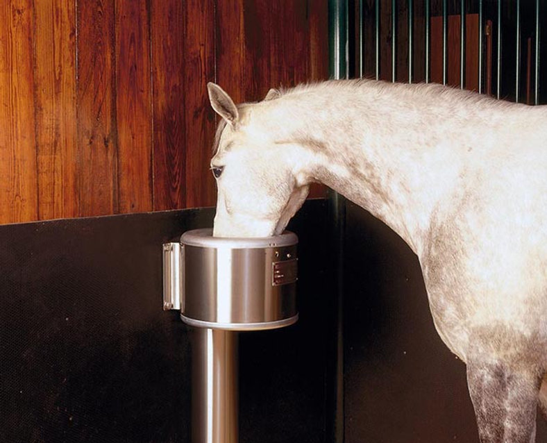 How to Choose Between Automatic and Manual Horse Waterers: A ...