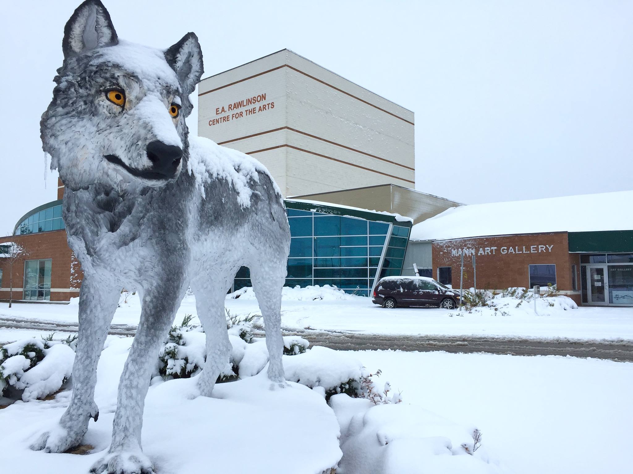 Home | mannartgallery