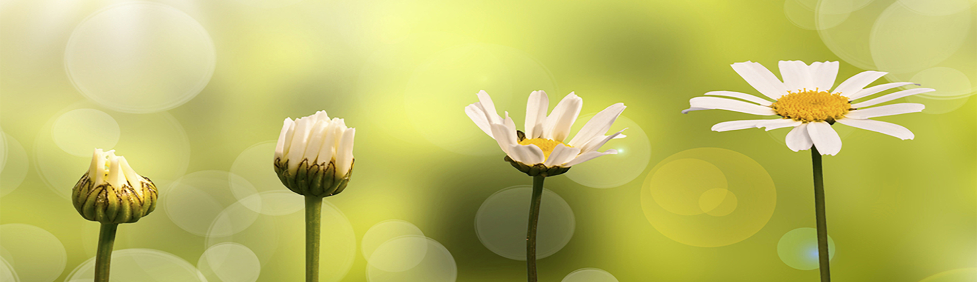 HOME | mychangepoint