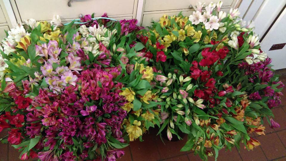 Columbus, IN Flowers From the Woods