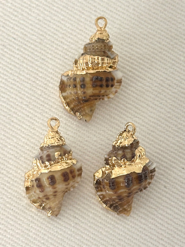 Spikey Shell | Britt's Funky Stitch