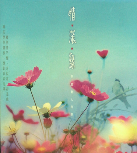 情 ‧ 深 ‧ 緣 至愛動人回憶 (3CD / 24Bit) | cdhkonline.com