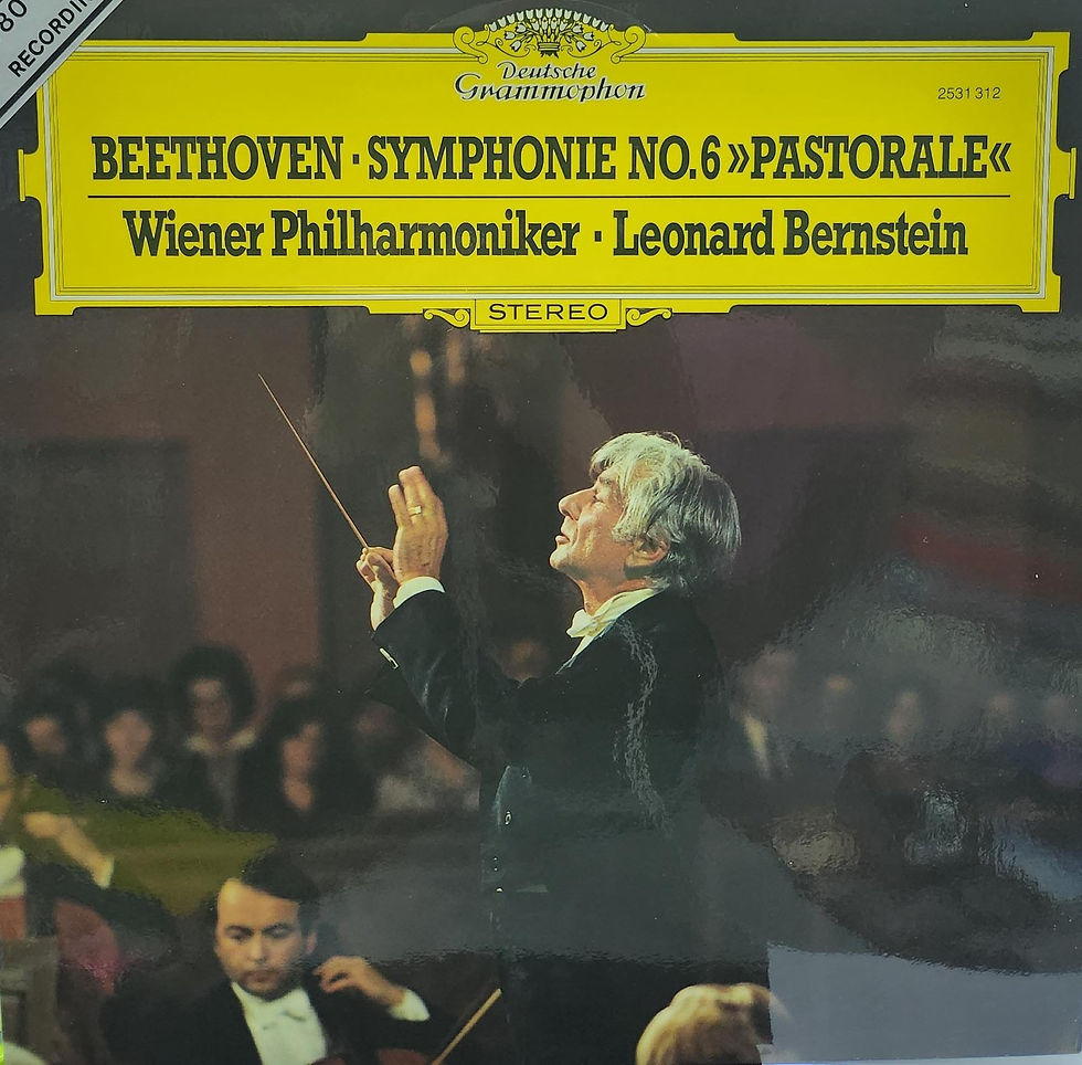 Beethoven - Symphonie No. 6 Pastorale | vinylhk.com