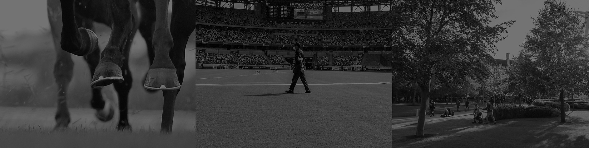 EXPERTISE | ONTRACK Project Consulting