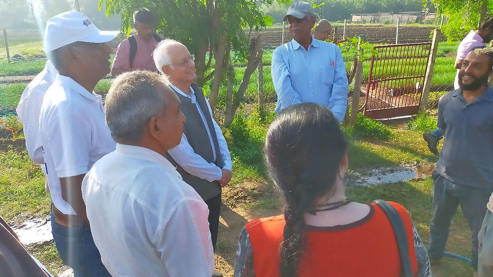 Rooting for change: Building networks for rural transformations through ...