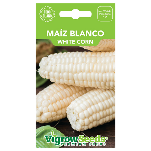 Vigrow Seeds Maíz Blanco | El Semillero