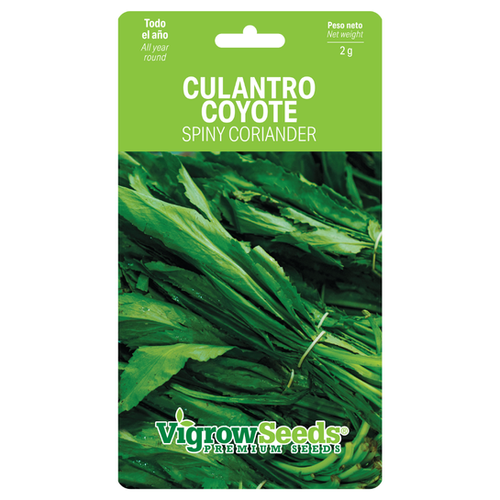 Vigrow Seeds Culantro Coyote | El Semillero