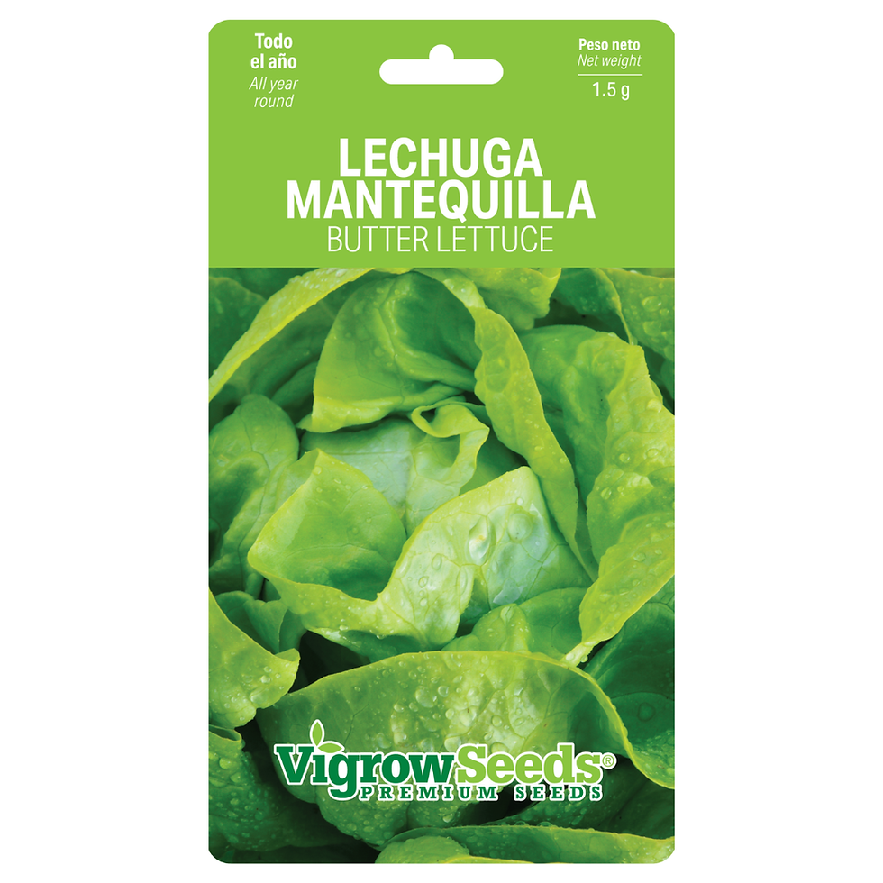 Vigrow Seeds Lechuga Mantequilla | El Semillero