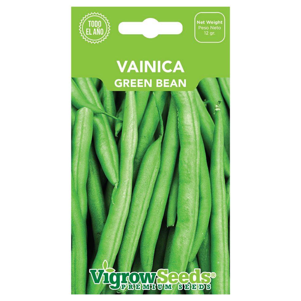 Vigrow Seeds Vainica | El Semillero