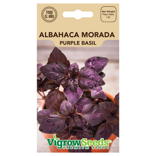 Vigrow Seeds Albahaca Morada | El Semillero