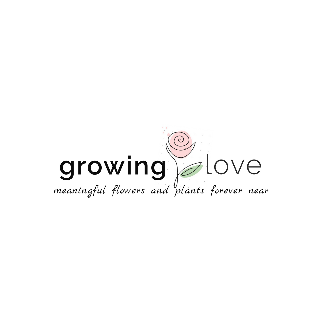 growing love | growing flower and plant keepsakes | Limerick, Ireland