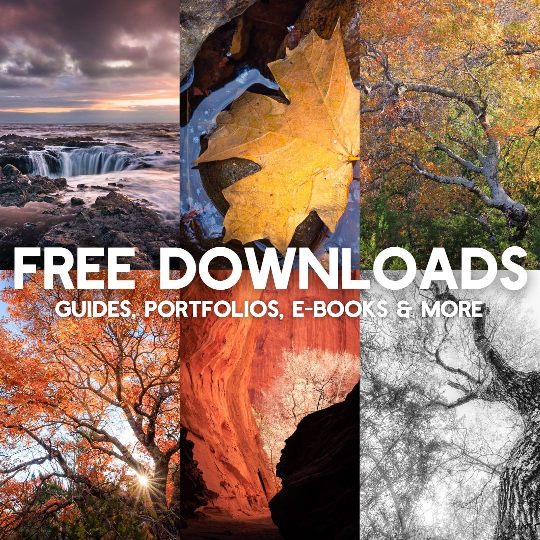 Free Photography Downloads | Michael Rung Photography