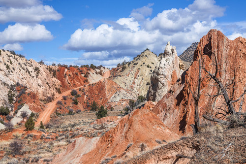 Candyland | Utah | Fine Art Photography Prints by Michael Rung