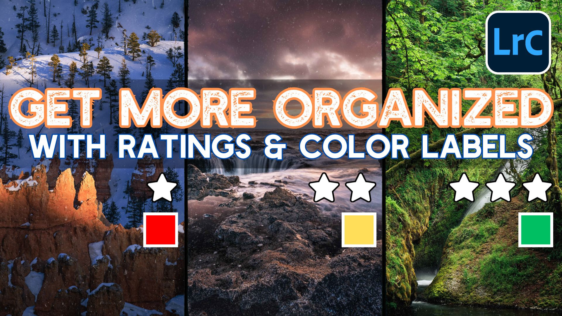 Free Guide for Using Ratings and Color Labels in Lightroom | Michael ...
