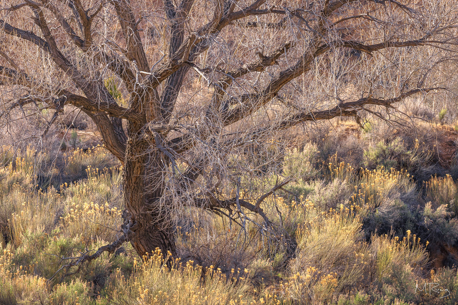 Utah Fine Art Photography Prints | Michael Rung Photography