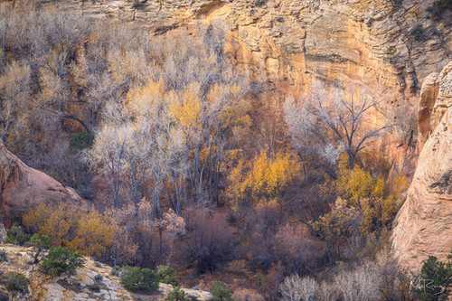 Mosh Pit | Utah | Fine Art Photography Prints by Michael Rung