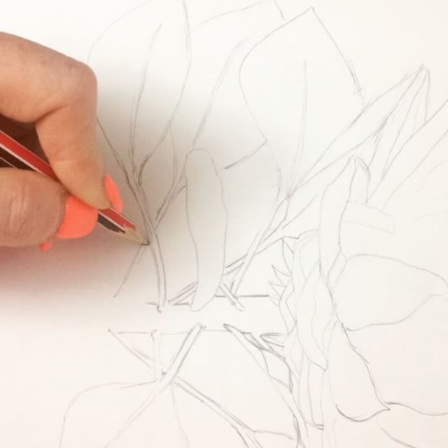 Artist Jane Harris Pick a Pear Creative - creator of wall art prints