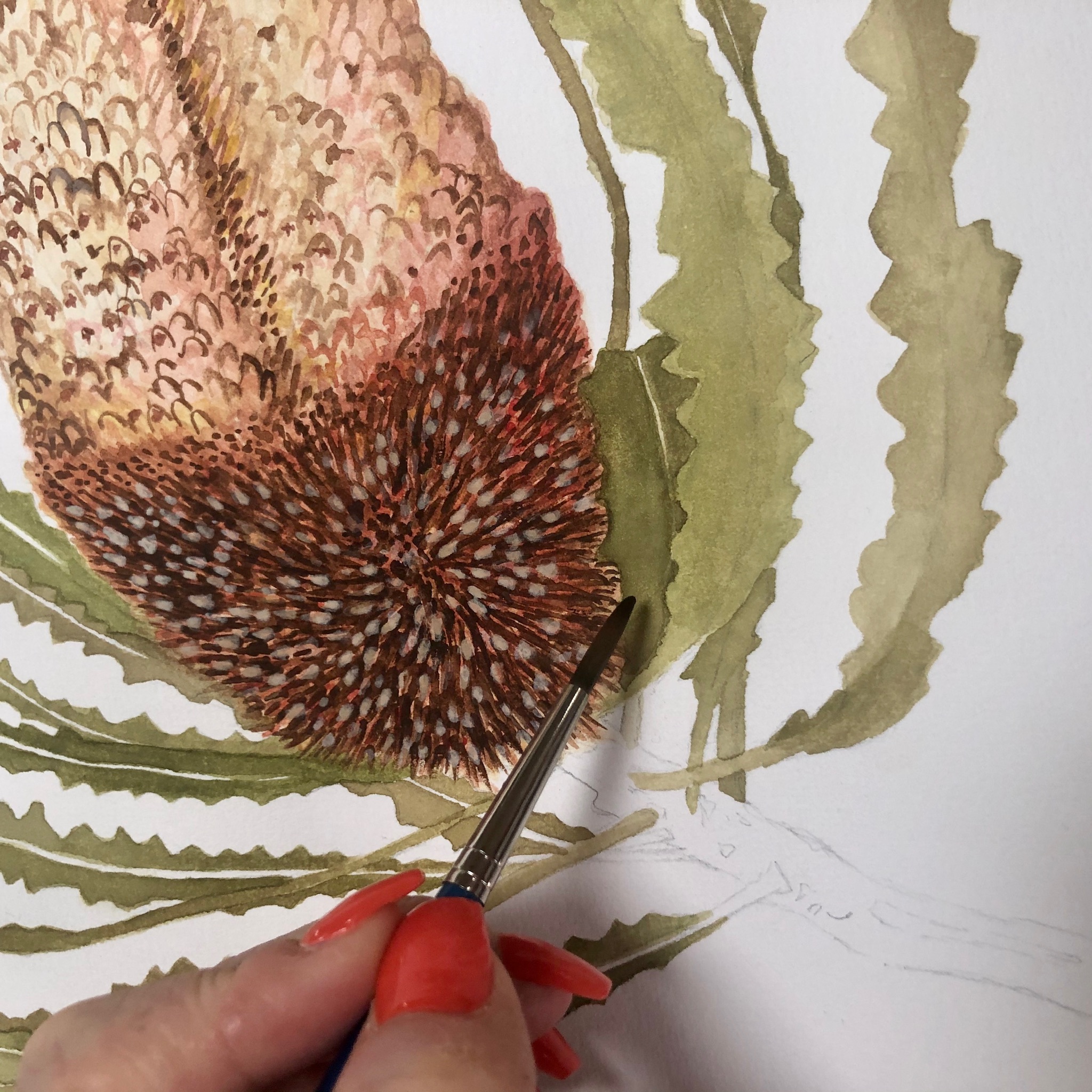 Artist Jane Harris Pick a Pear Creative - creator of wall art prints