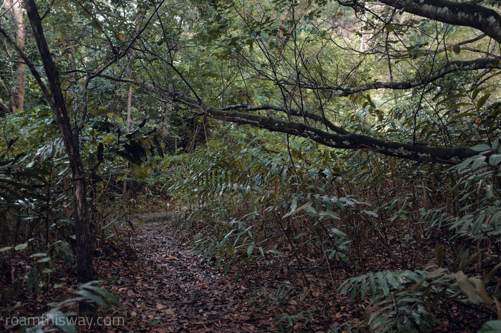 Malaysian Ghost Town Series - Mimaland