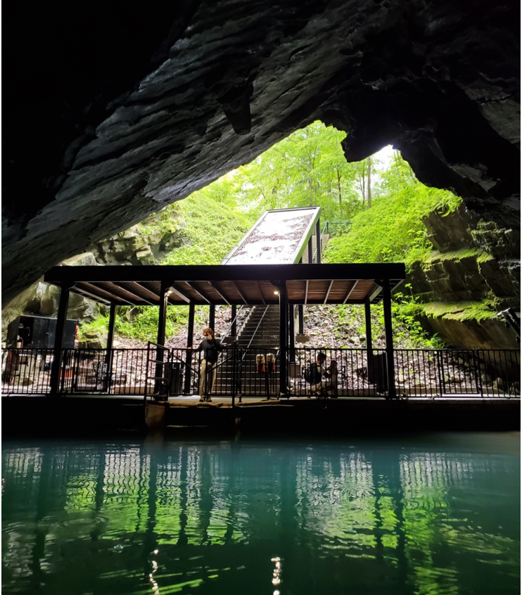 "Cave In" and Visit Penn's Cave and Wildlife Park