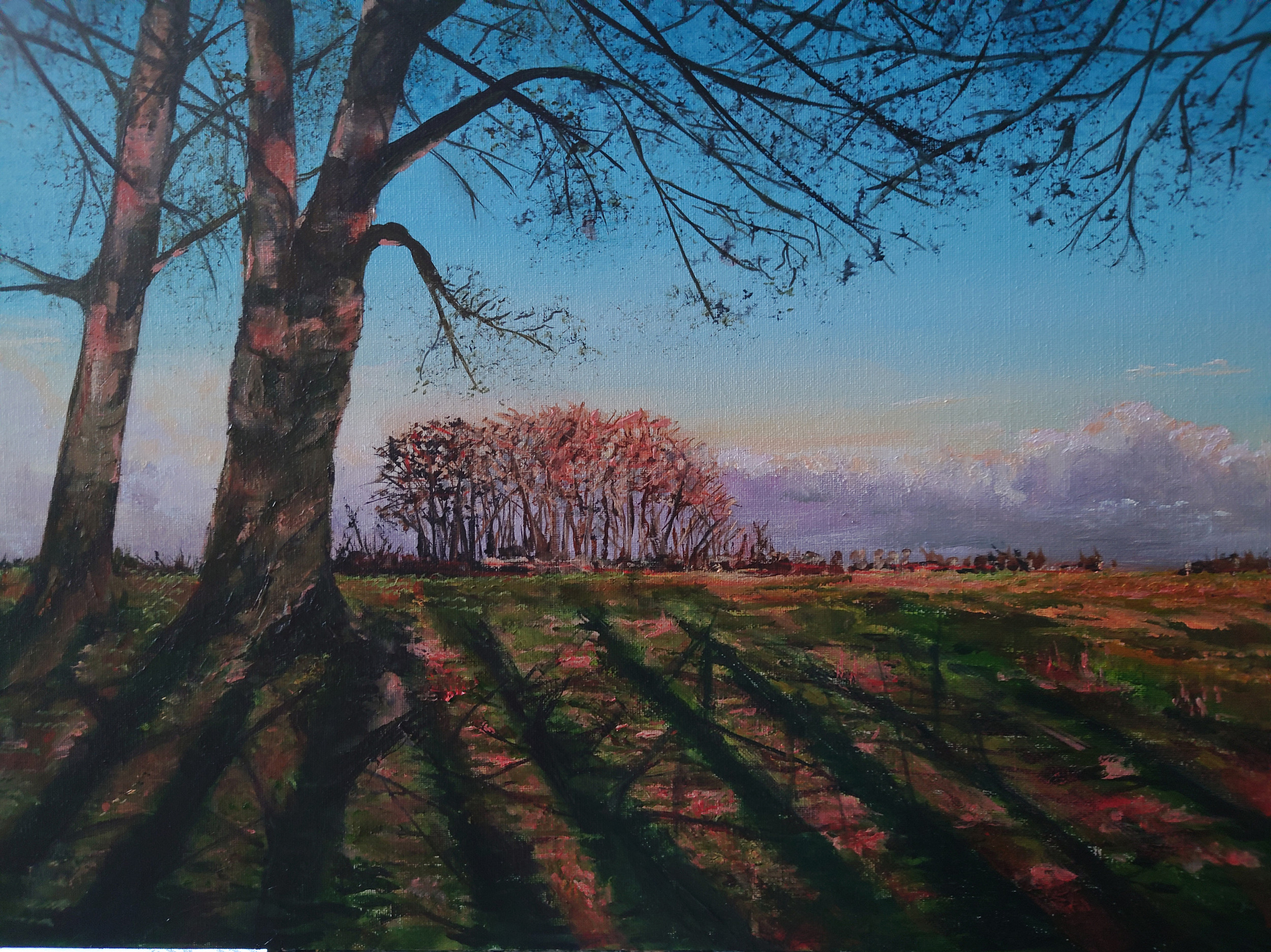Lucie Milner Artist | Dorset Artist | Original Artwork for Sale