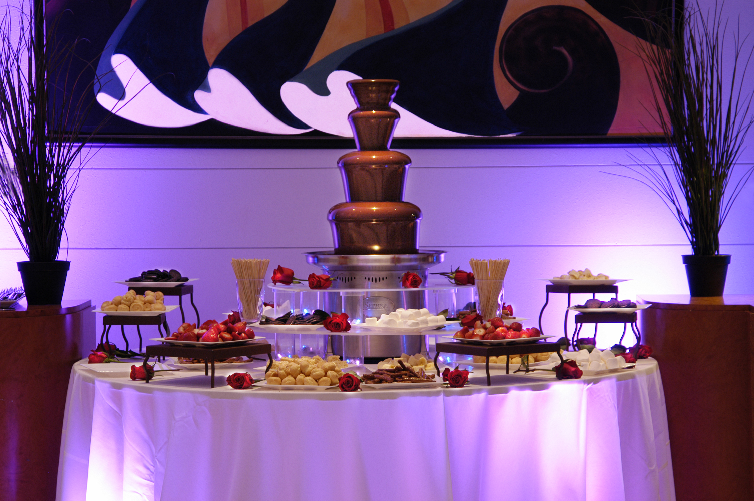 Black & White Chocolate Fountain | Candy Buffet