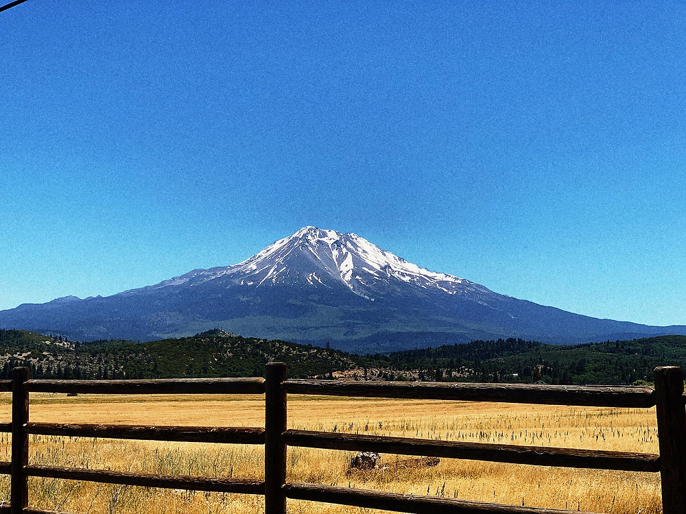 7 Sacred Mount Shasta Energy Vortexes You Never Knew Existed: Unveiling ...