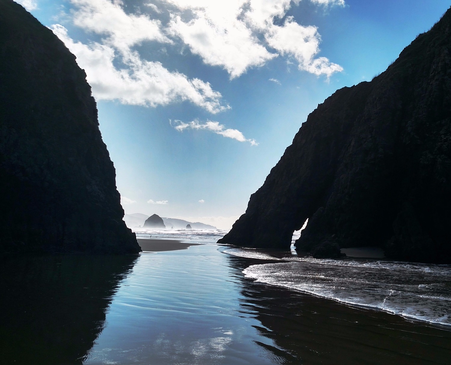 Tides and Trails / Intertidal Zone