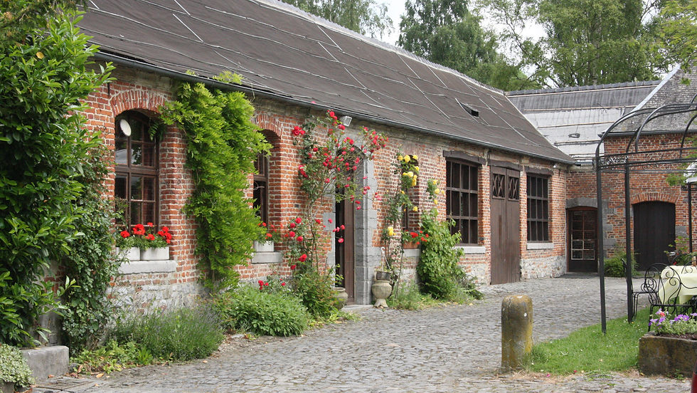 HA C de Roisin | serge