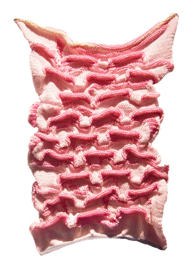 Stoll & Shima Samples | Michelle Rinow.com