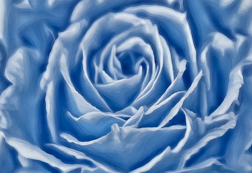 20 - JRS - Julie Jamison - Dawn – MAR25_NZ895481 | GATE 28 & J.Rose